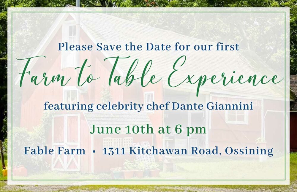 Ossining Children's Center